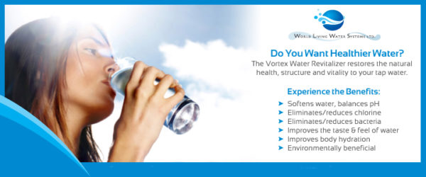 Standard Filter Vortex Water Revitalizer -vitalvibesource.com